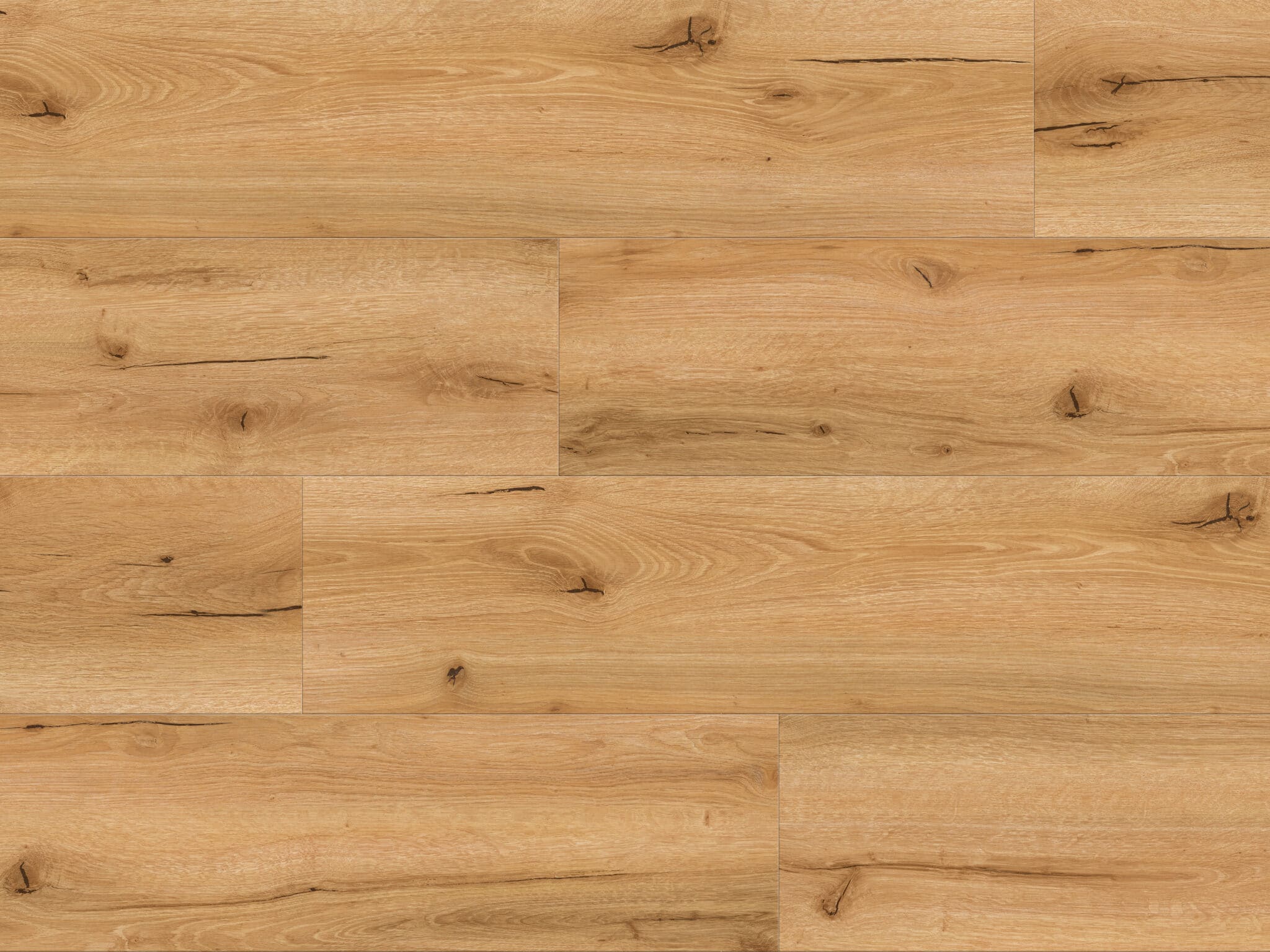 Shop - Tajima Europe