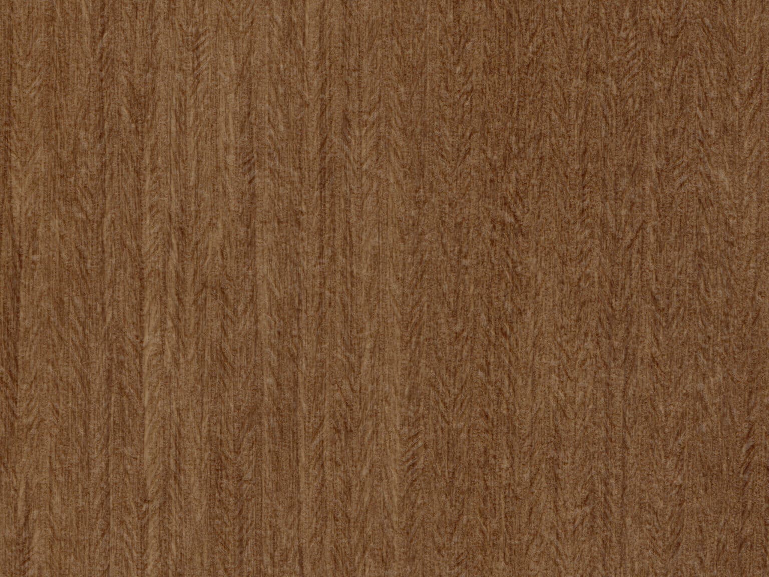 Shop - Tajima Europe